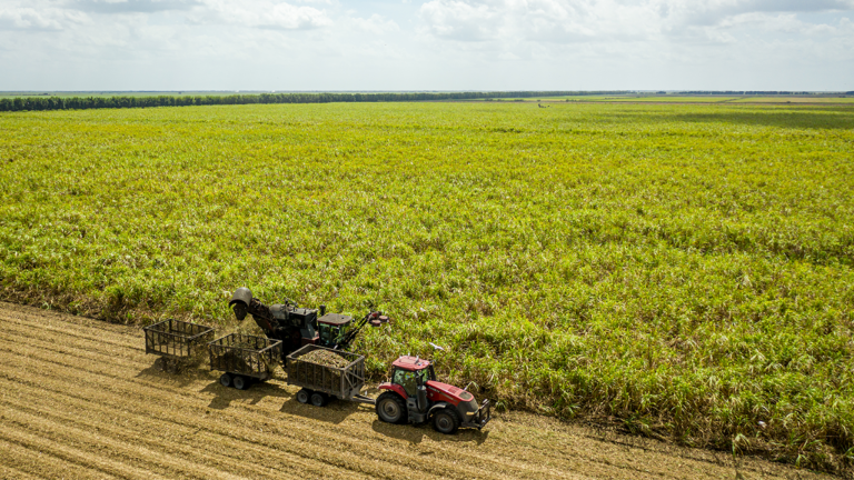 Florida Crystals sweetens SAP estate with AWS via Lemongrass