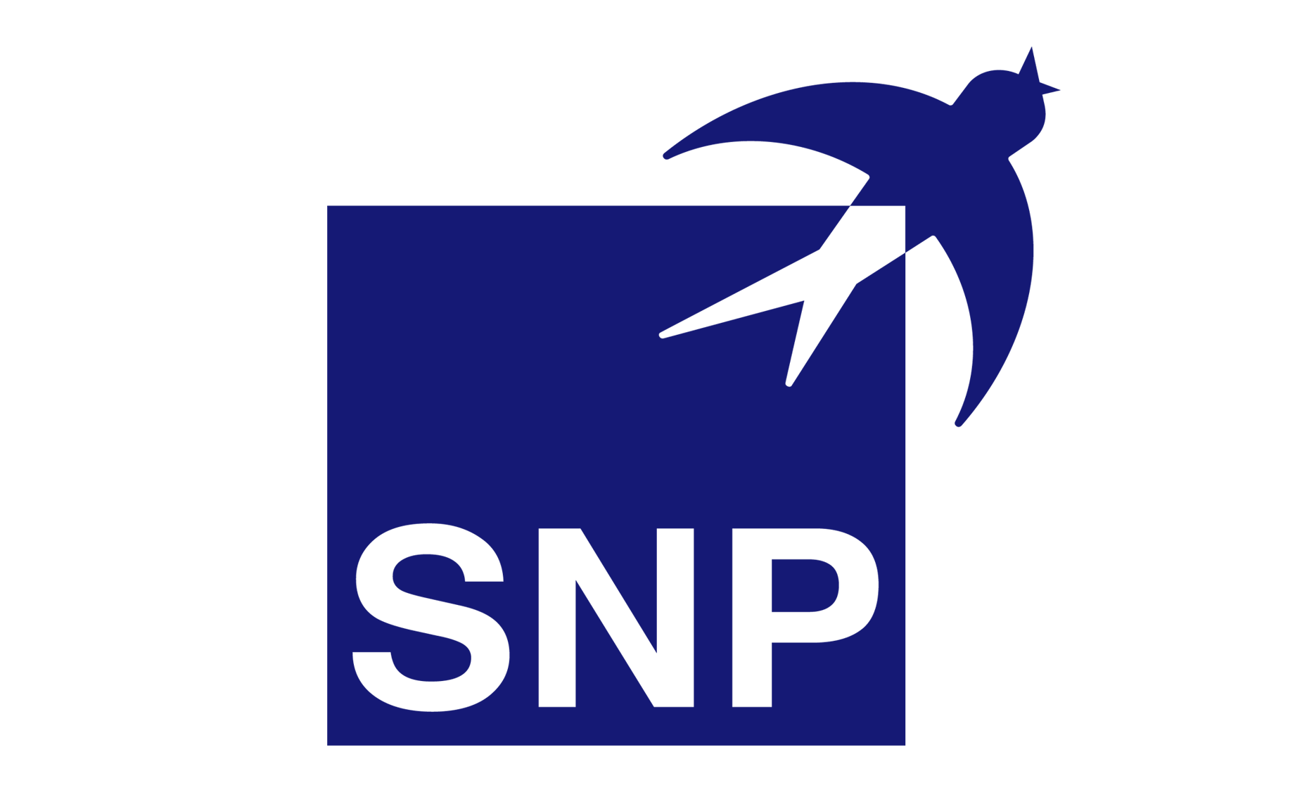 SNP Group | Partners